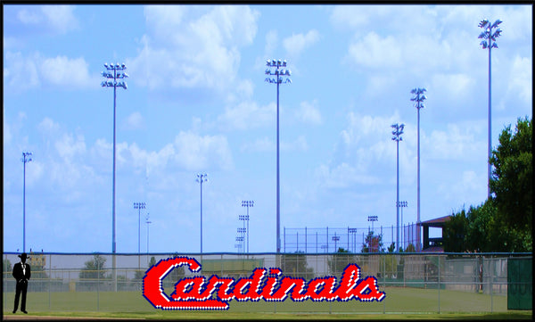 6' Cardinal Script Letters – Put-In-Cups