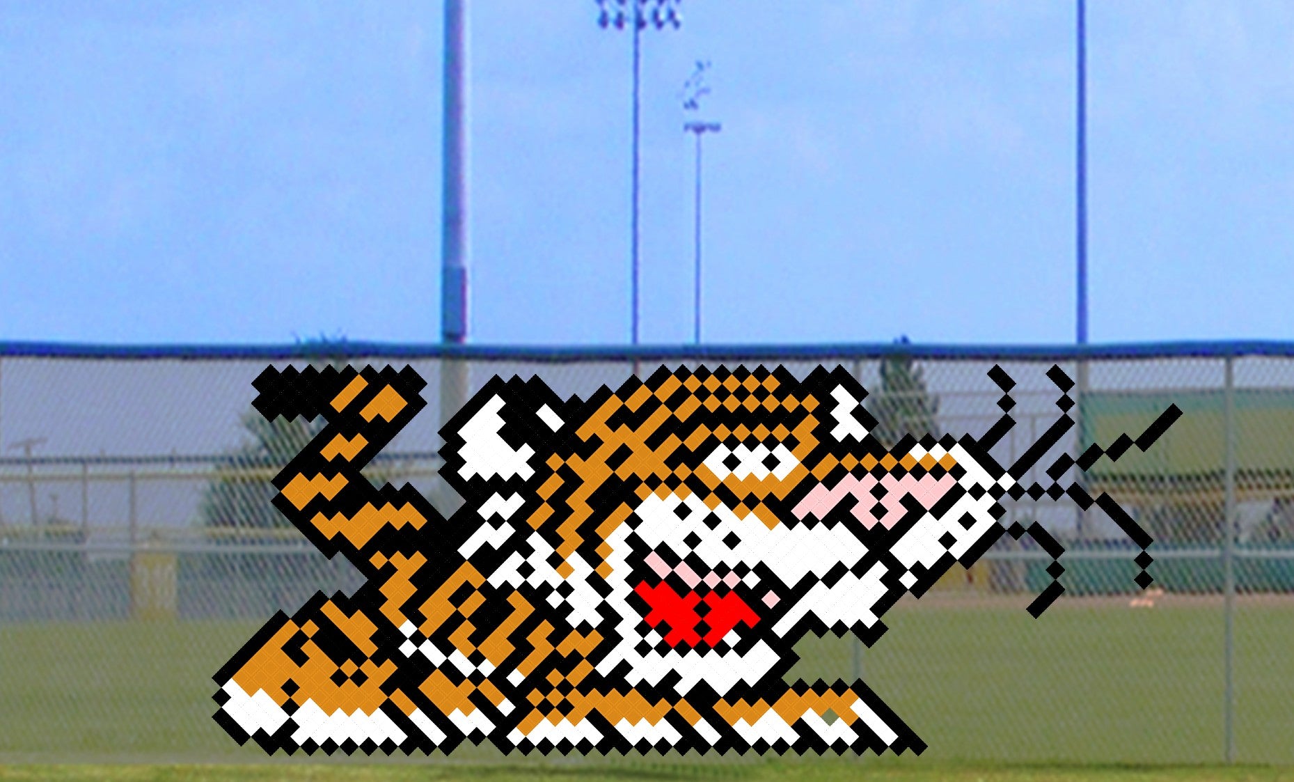 6' x 12' Happy Tiger – Put-In-Cups